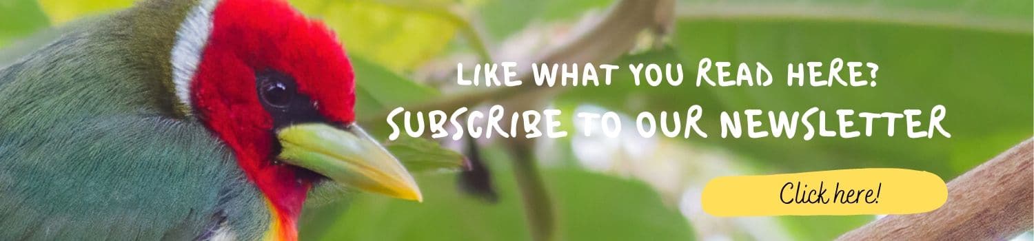 Top 10 Birds of Panama | Panama Birding | Whitehawk Birding Blog